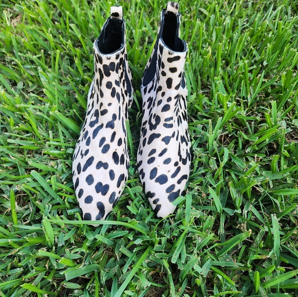 Paolo | Shoes | Linea Paolo Regan Bootie In White Black Calf Hair ...